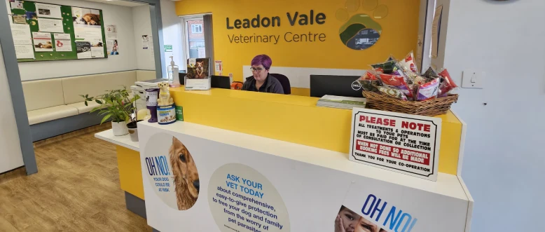 Avian Vet Near Me | Leadon Vale Vets