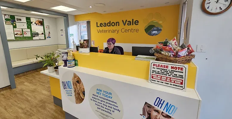 Ledbury Vets | Vets Near Me | Leadon Vale Veterinary Centre