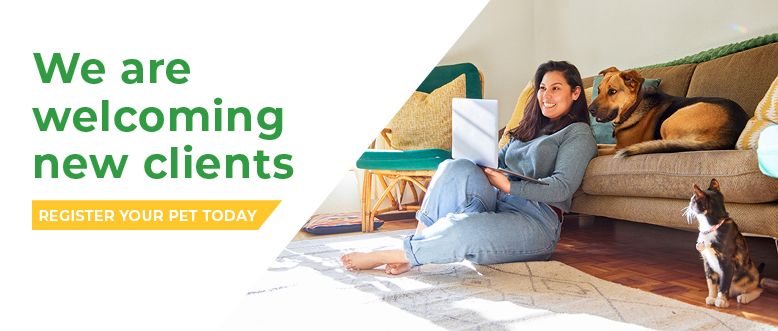 Ledbury Vets | Vets Near Me | Leadon Vale Veterinary Centre