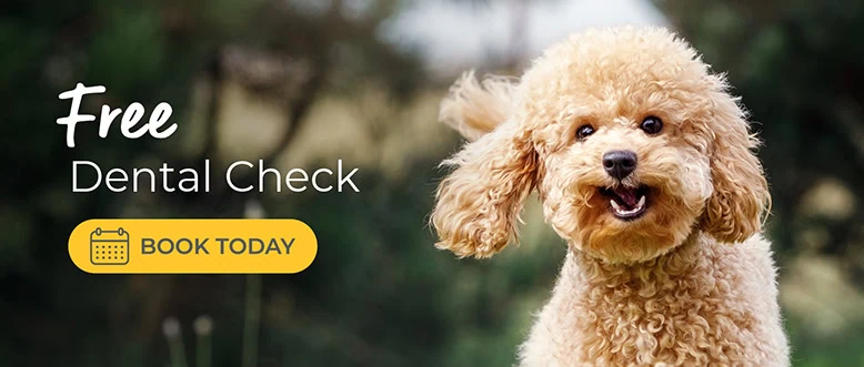 Ledbury Vets | Vets Near Me | Leadon Vale Veterinary Centre