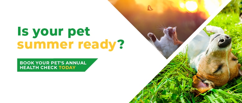 Ledbury Vets | Vets Near Me | Leadon Vale Veterinary Centre