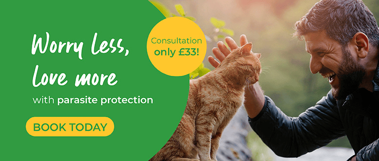 Ledbury Vets | Vets Near Me | Leadon Vale Veterinary Centre